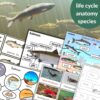 Free Printables - Montessori Nature Resource Library - Montessori Nature