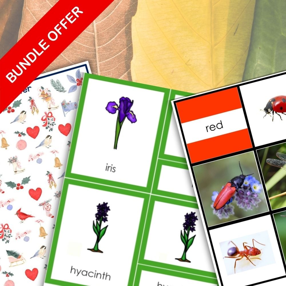 Free Printable - Fall and Summer Sorting Cards - Montessori Nature