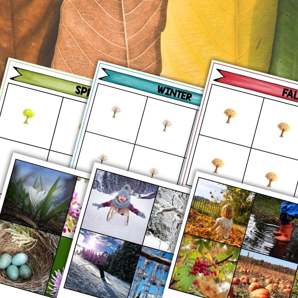 Seasons in Nature Printable - Nature Curriculum in Cards