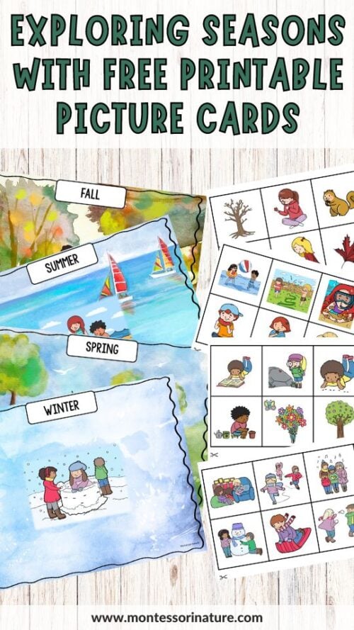 Free Printable - Seasons Picture Cards for Preschool Children ...