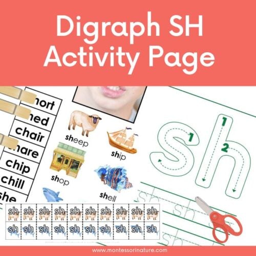 Free Printable - SH Digraph Student Activity Page Phonics - Montessori ...