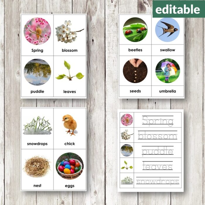 Spring Vocabulary 3 Part Cards - Montessori Nature