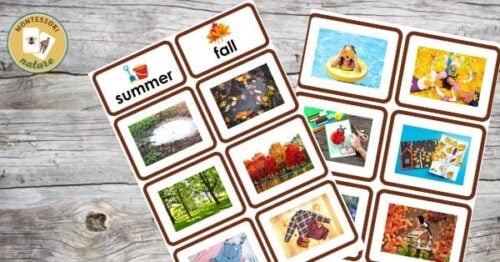 Free Printable - Fall and Summer Sorting Cards - Montessori Nature