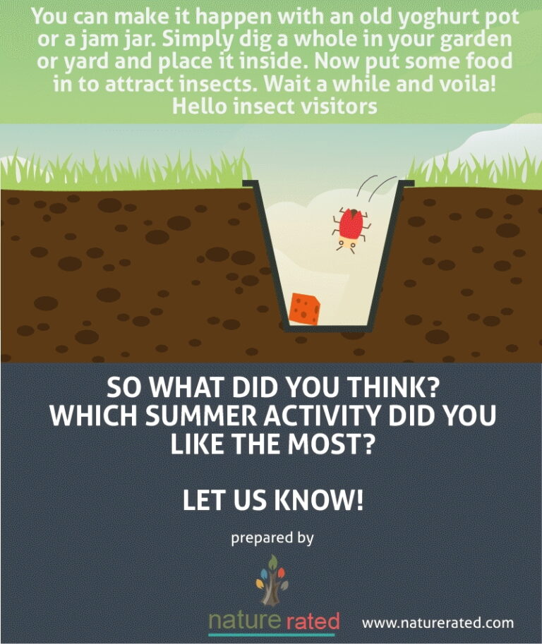 15 Hands On Summer Nature Activities for Kids.