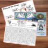Swan Life Cycle Parts of a Swan Activities - Montessori Nature
