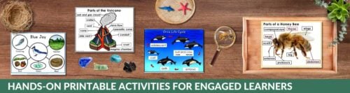 Montessori Nature - Educational Printables