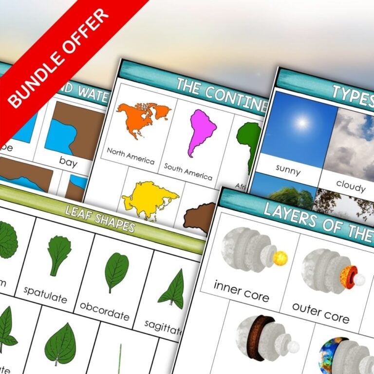 The Ultimate Cosmic Education Bundle: A Complete Nature Curriculum in Cards