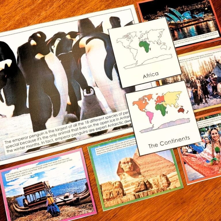 Asia Maps and Blackline Masters, Flags - Montessori