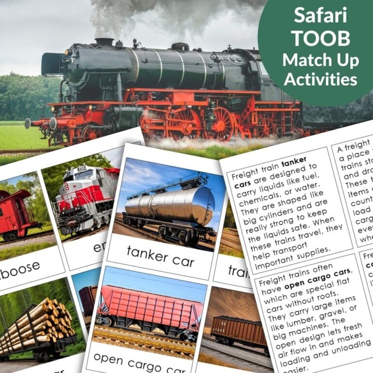 Train Cars: Safari TOOB Compatible 3 Part Cards & Facts - Montessori Nature