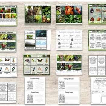 Tropical Rainforest Animals Plants Facts Biome Pack - Montessori Nature