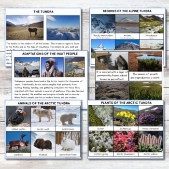 Free Printable - Parts of a Plant - Montessori Nature