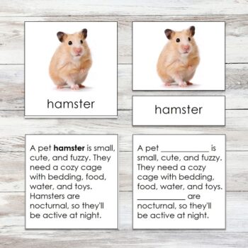 Pets - Object to Picture Matching Activity with Safari Toob