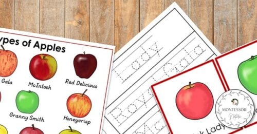 Free Printable - Apples 3-Part Cards, Posters, and Student Booklet ...