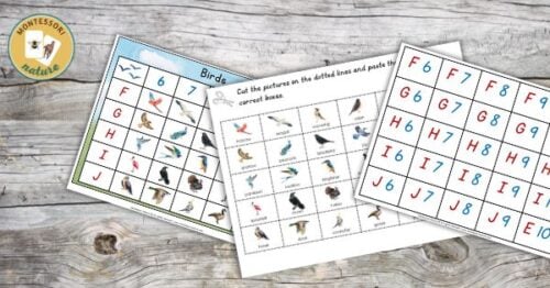 Free Printable - Birds Math Coordinates - Montessori Nature