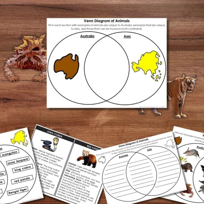Free Printable - Earth Goes Around the Sun Geography Activity ...