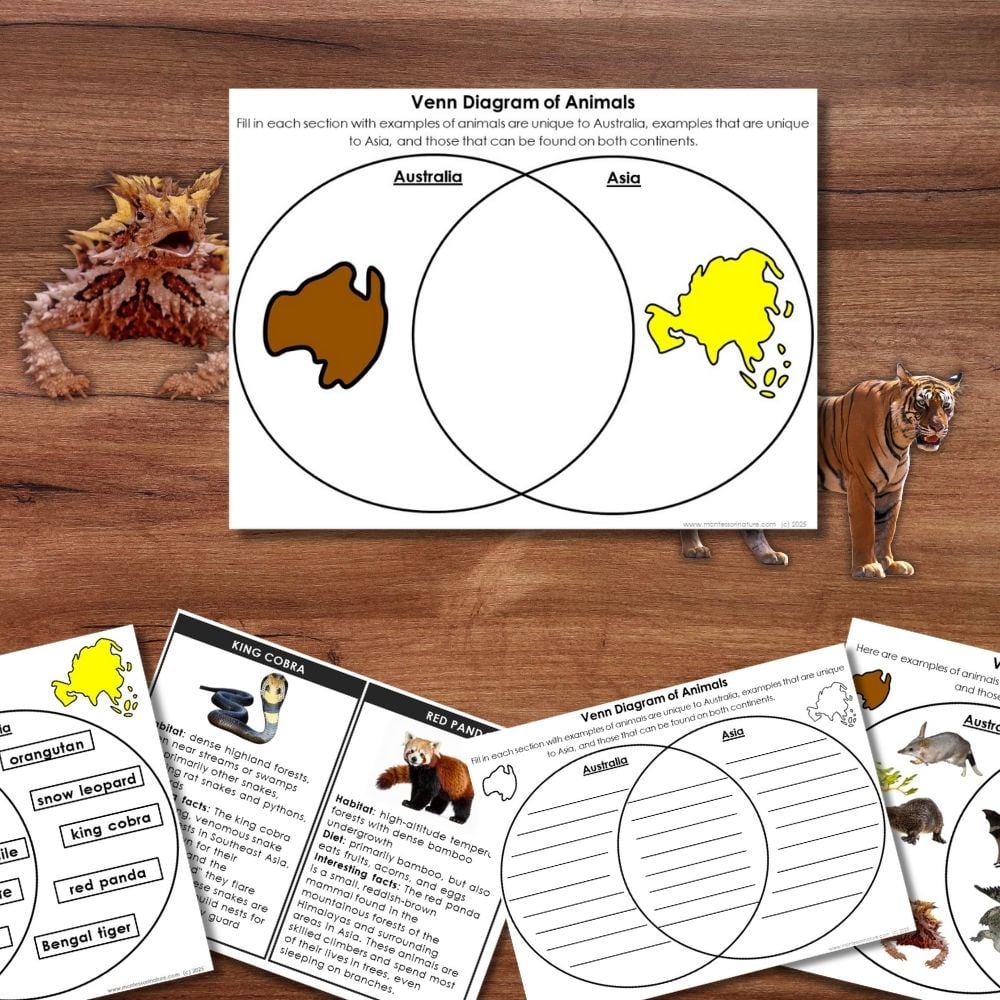 Free Printable - Animals of the Continents Sorting and Matching ...