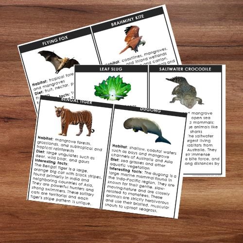 Animals of Australia and Asia Venn Diagram - Montessori Nature