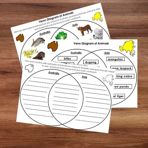 Animals of Australia and Asia Venn Diagram - Montessori Nature