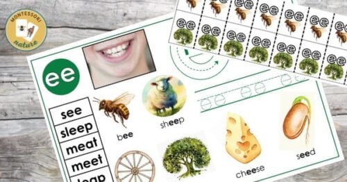 Free Printable - EE Vowel Digraph Student Activity Page Phonics ...