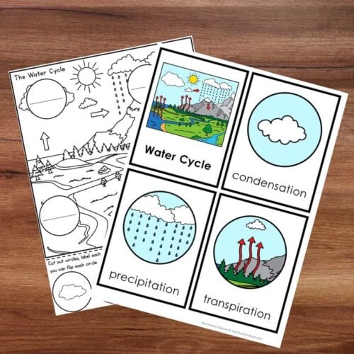 Water Cycle: 3 Part Cards Blackline Master Diagrams - Montessori Nature