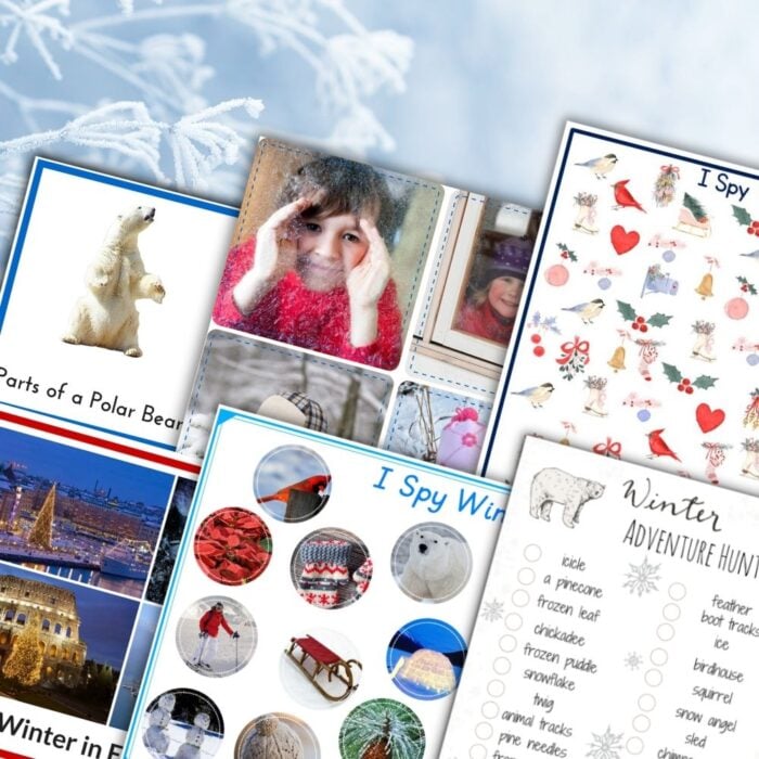 Winter Kindergarten Hands On Activity Pack - Montessori Nature