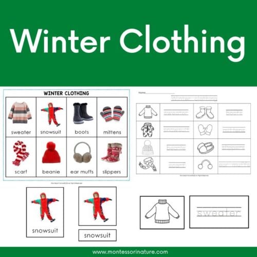 Free Printable - Winter Clothing 3 Part Cards - Montessori Nature