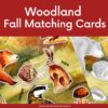 Free Printables - Montessori Nature Resource Library - Montessori Nature