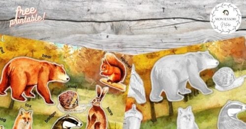 Free Printable - Woodland Animals Match Up - Montessori Nature