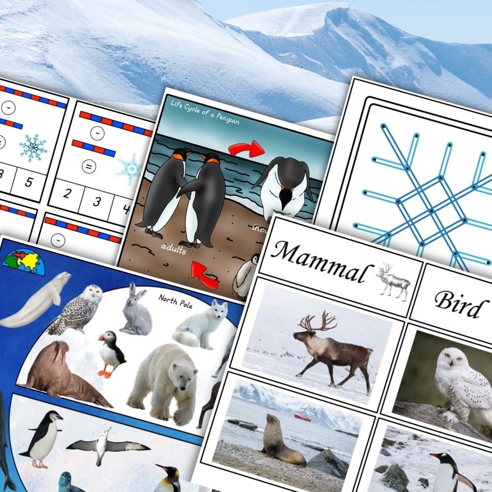 The Arctic and Antarctica Preschool and Kindergarten Pack - Montessori ...