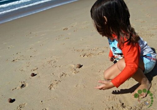 Montessori Inspired Explorations At The Beach - Montessori Nature