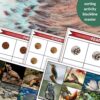 Animal Coverings: Scales Fur Feathers Sort - Montessori Nature