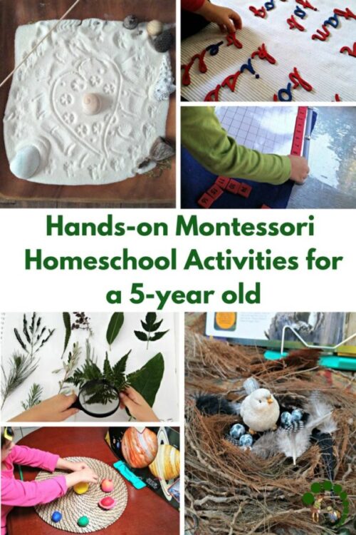 Pin Poking Activities And Free Printables - Montessori Nature Printables