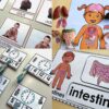 DIY Montessori Inspired Activities and Games for 3 - 5-year-olds ...