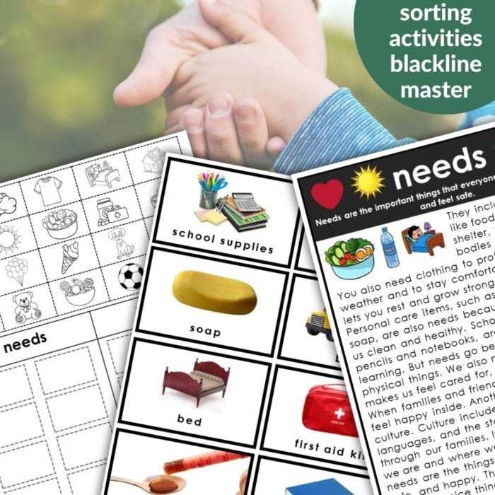 Needs and Wants Sorting Cards and Blackline Master - Montessori Nature