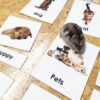 Pets: Safari TOOB Compatible 3 Part Cards & Facts