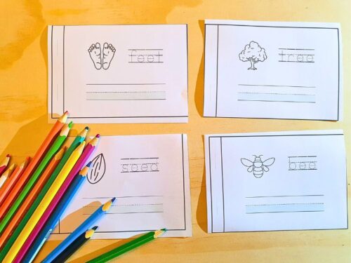 Montessori Green Language Series - Montessori Nature