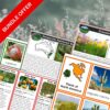 The Importance and Benefits of Teaching Gardening to Children Toddlers ...