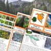Plants and Biomes of North America Activities - Montessori Nature