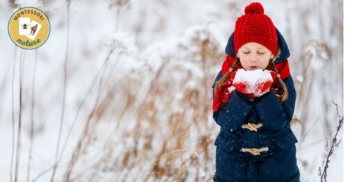 Outdoor Learning Activities with Free Printables - Montessori Nature